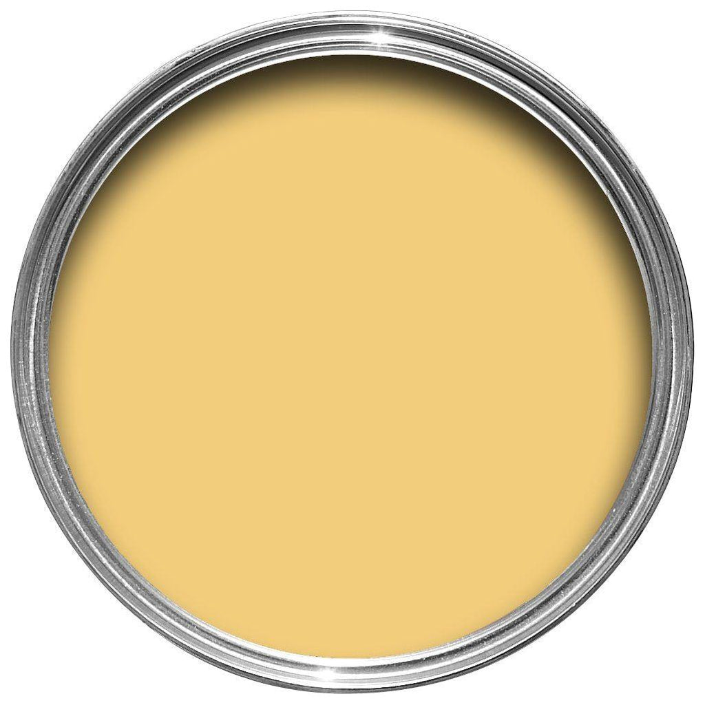 Shop Farrow & Ball Citron Paint at Ted Johnson | Naas, Ireland