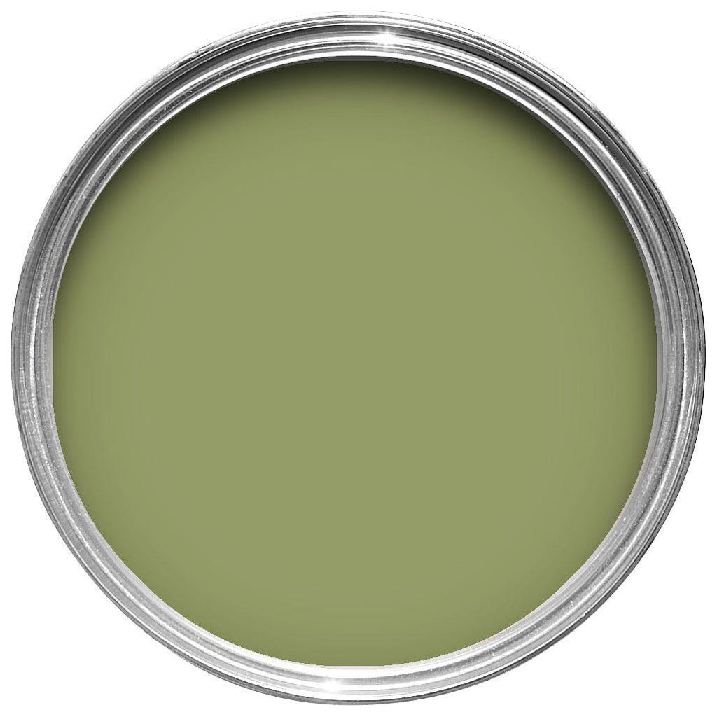 Shop Farrow & Ball Olive Paint at Ted Johnson | Naas, Ireland