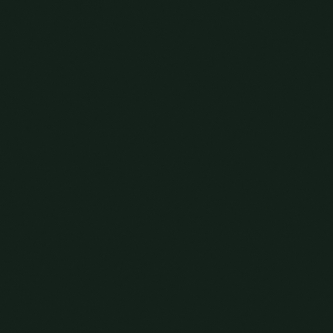 Shop Little Greene Obsidian Green Paint at TedJohnson.ie | Ireland ...