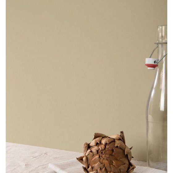 Shop Little Greene Roman Plaster Paint at TedJohnson.ie |Naas, Ireland