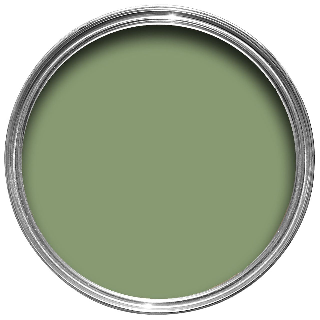 Shop Farrow & Ball Yeabridge Green Paint at Ted Johnson | Naas, Ireland