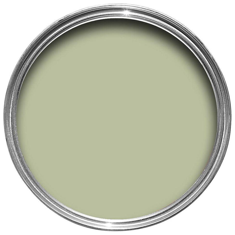 Shop Farrow & Ball Cooking Apple Green Paint at Ted Johnson | Ireland