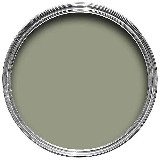 Shop Farrow & Ball Lichen Paint at Ted Johnson | Naas, Ireland