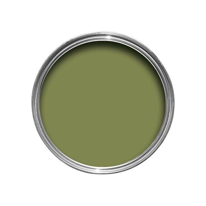 Shop Farrow & Ball Sap Green Paint at Ted Johnson | Naas, Ireland